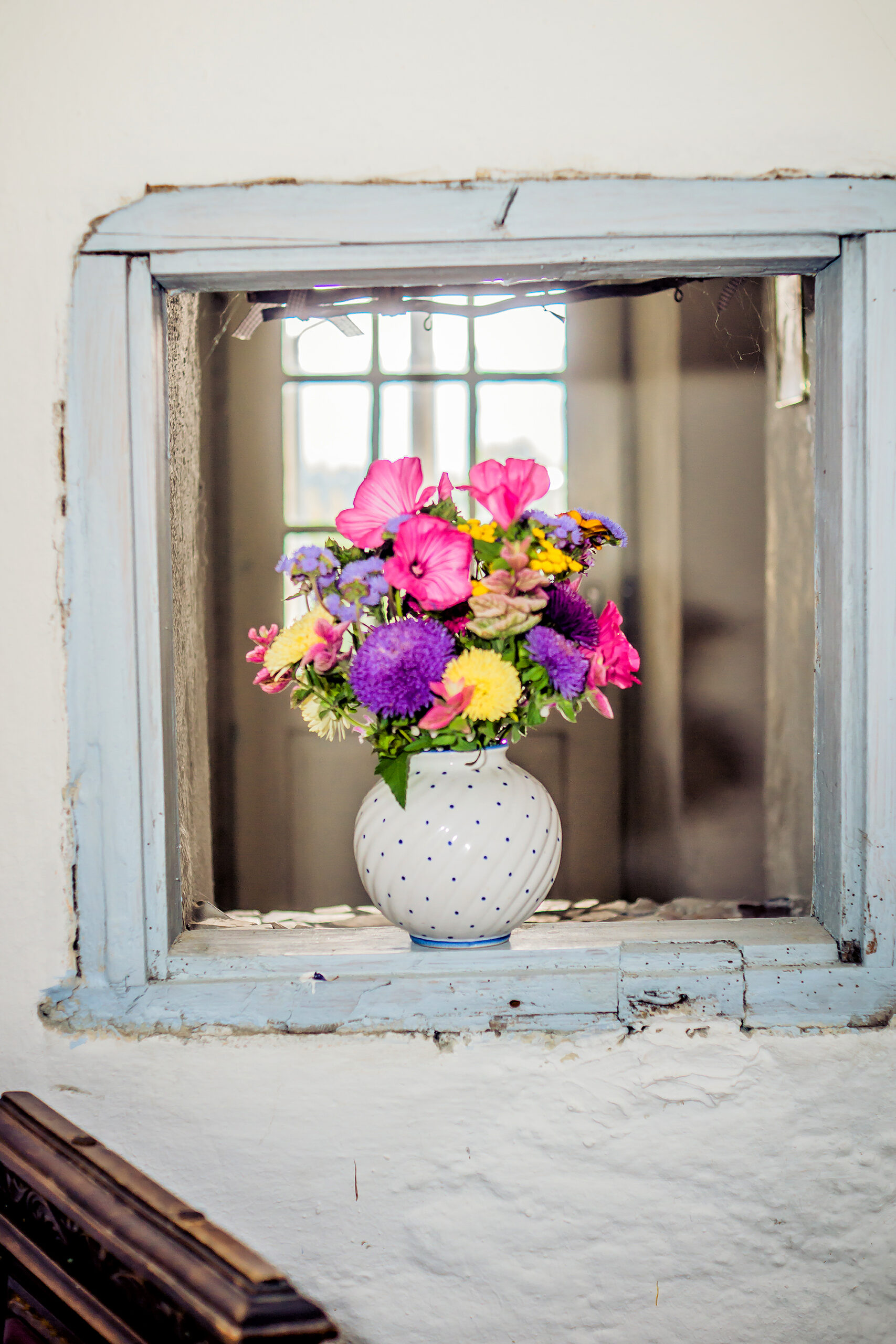 Blumenwirtschaft am Patrizihof - Bio-Blumen von Patrizia Kager